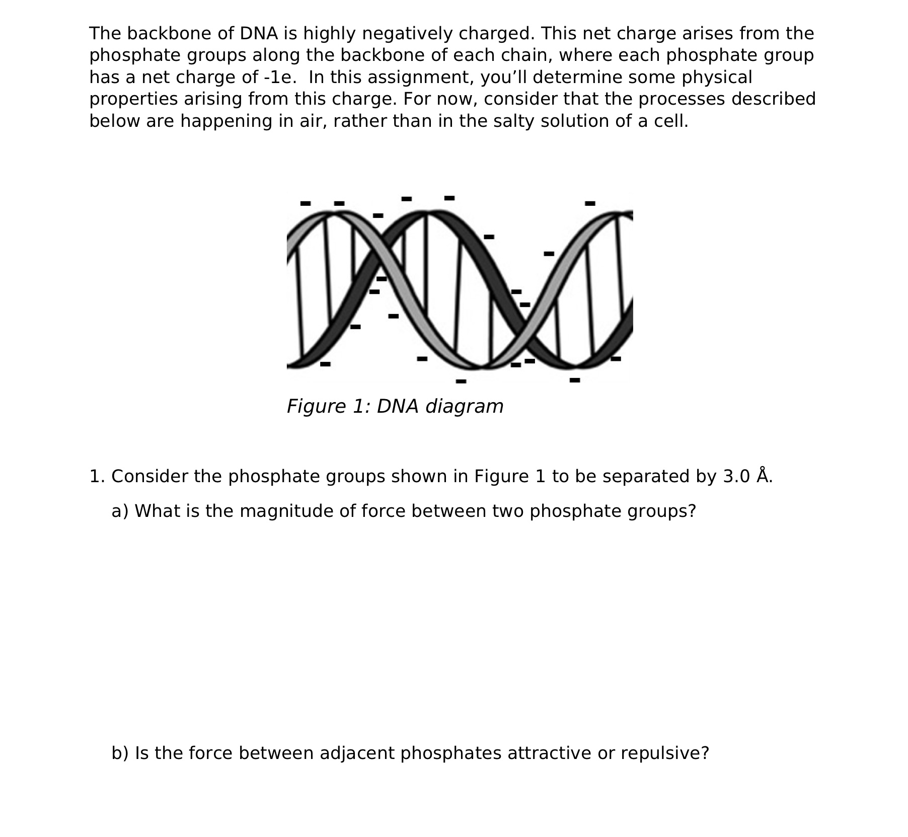 Solved The backbone of DNA is highly negatively charged. | Chegg.com