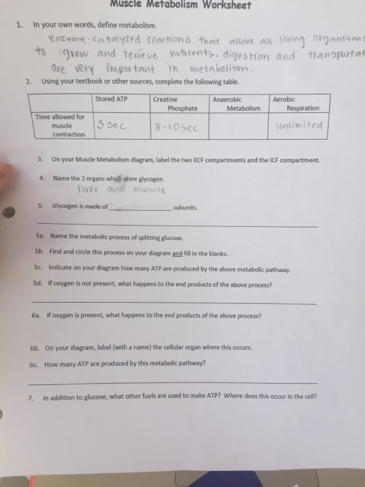 Solved In your own words, define metabolism. Using your | Chegg.com