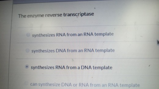 Solved The enzyme reverse transcriptase synthesizes RNA from | Chegg.com