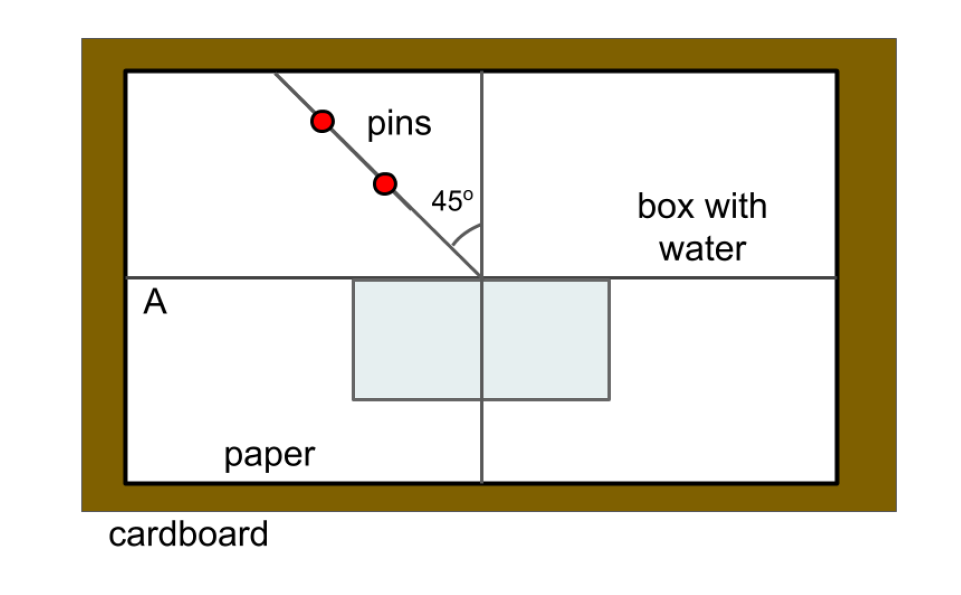 Solved Initial Observations Now that your experiment is set | Chegg.com