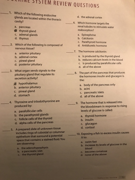 Solved LTNE SYSTEM REVIEW QUESTIONS 1. Which of the | Chegg.com