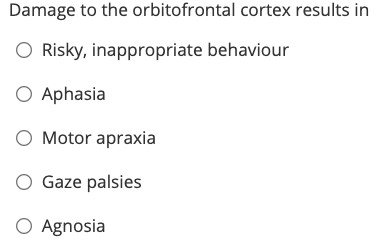 Solved Damage to the orbitofrontal cortex results in O | Chegg.com