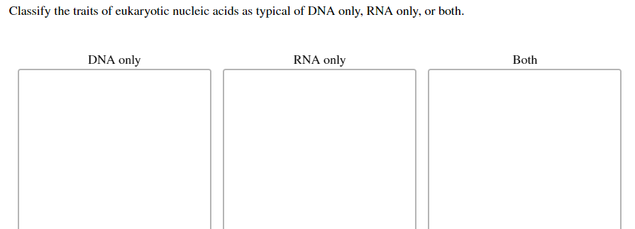 Solved Classify the traits of eukaryotic nucleic acids as | Chegg.com