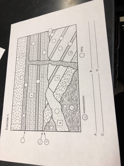 Solved Exercise 1 D: rcise3 | Chegg.com