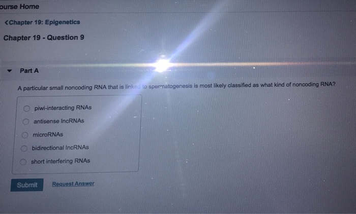 Solved a particular small noncoding RNA that is linked to | Chegg.com