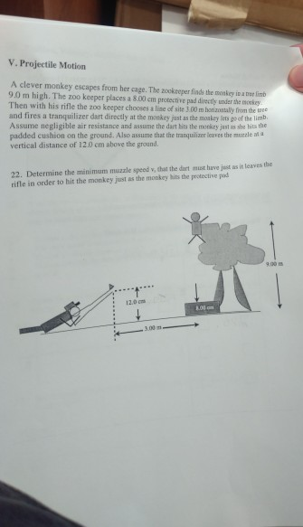 Solved - Projectile Motion ind fires a tranquilizer dart | Chegg.com