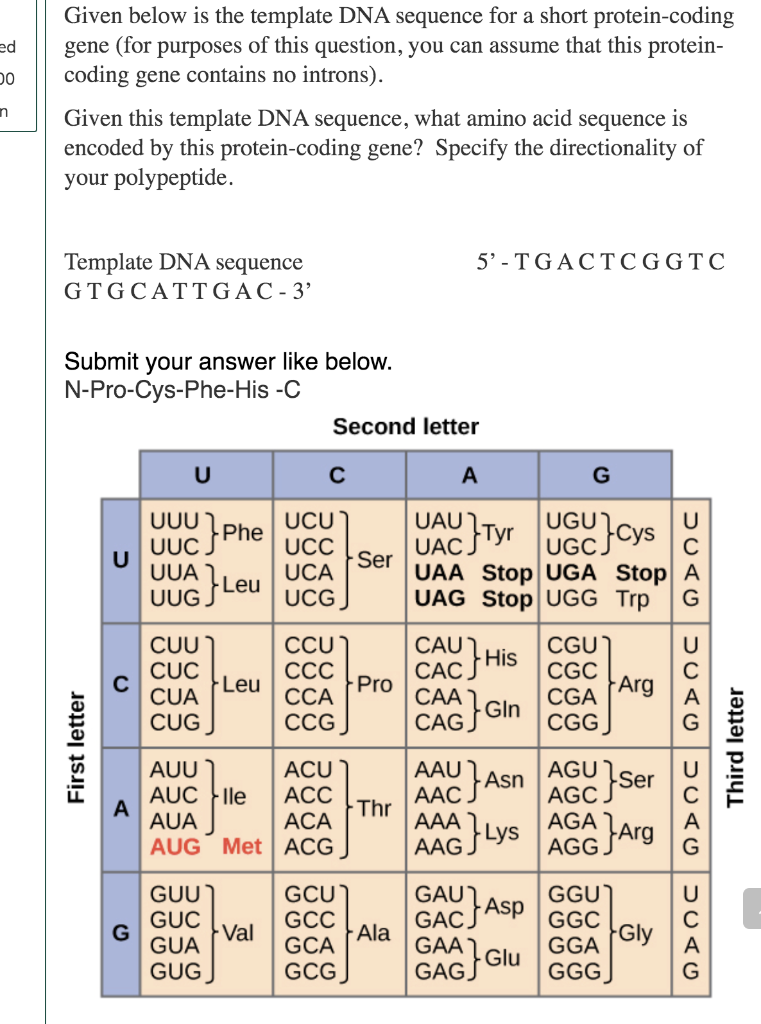 Solved ed DO Given below is the template DNA sequence for a | Chegg.com