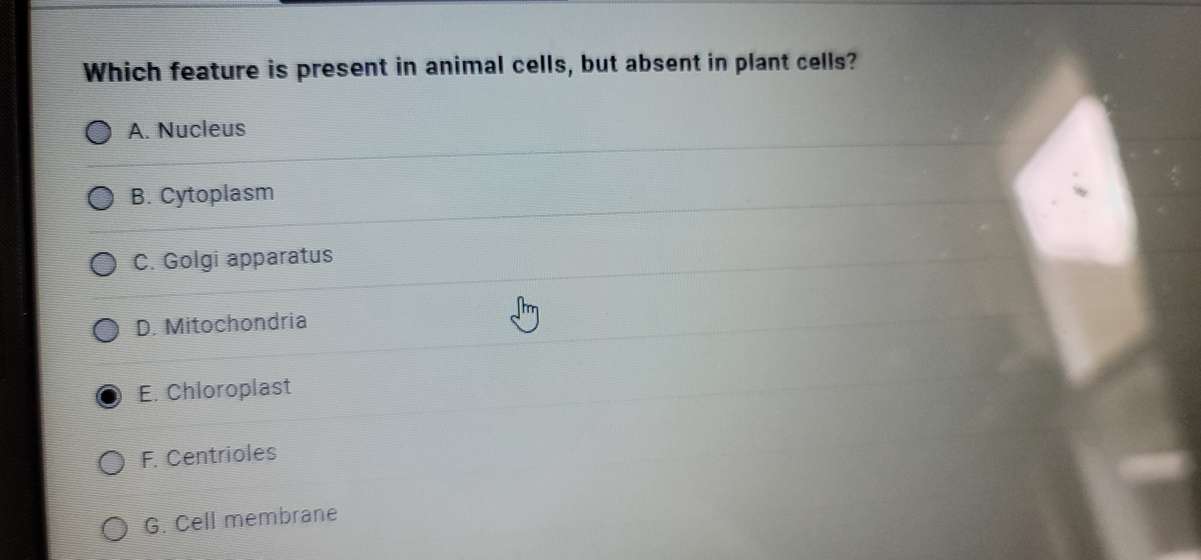 Solved Which feature is present in animal cells, but absent | Chegg.com
