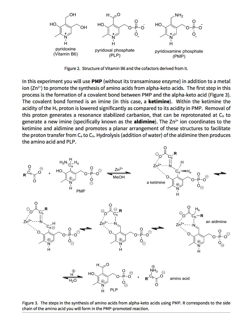 Solved Draw the structures and write the names of the amino | Chegg.com