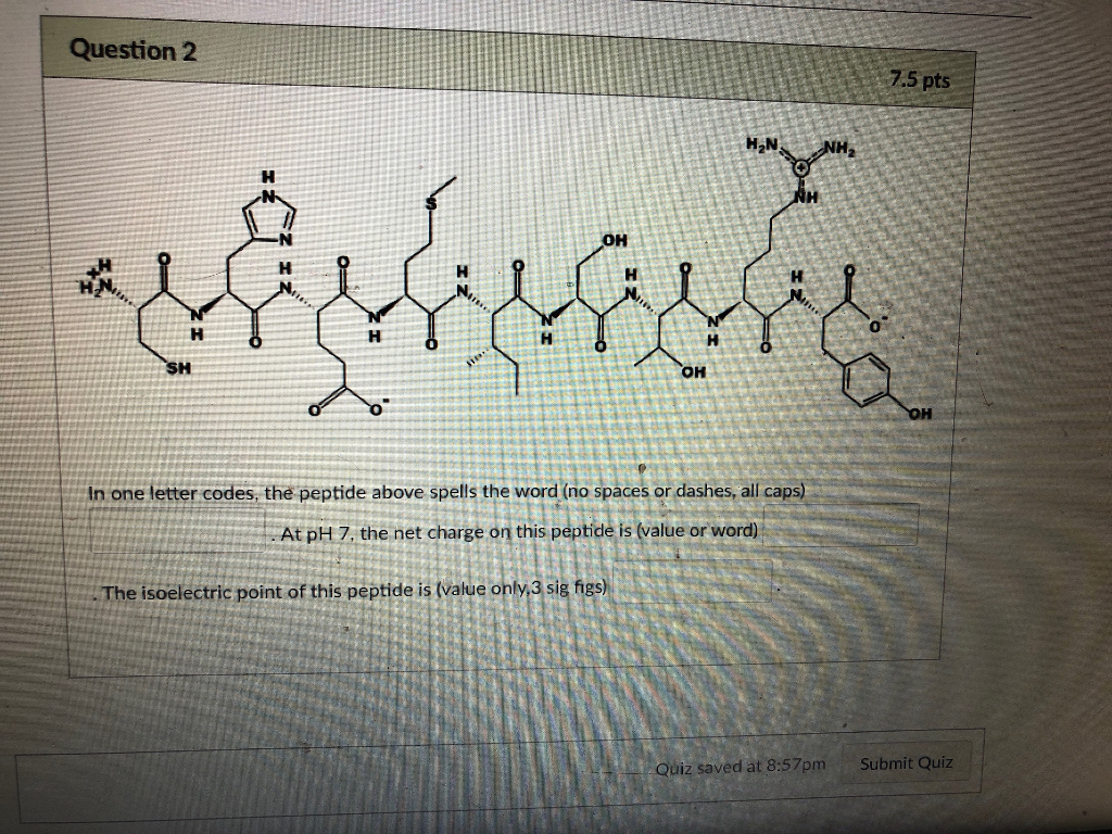 "In one letter codes, the peptide above spells ____. | Chegg.com