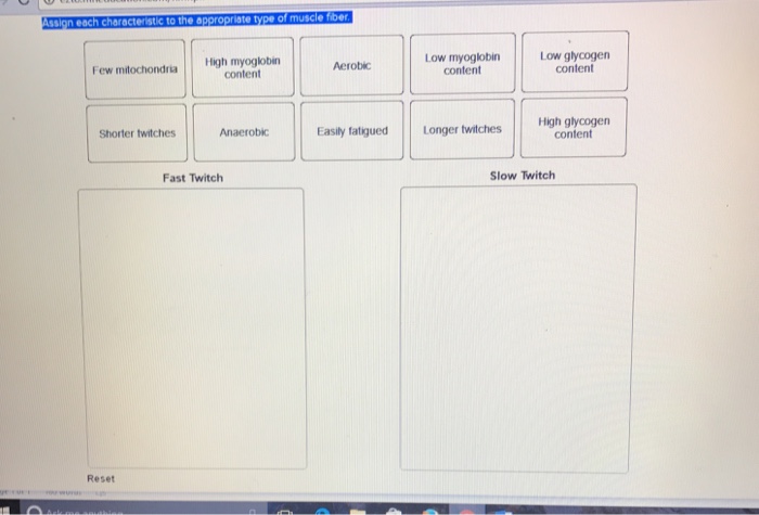 Solved Assign each characteristic to the appropriate type of | Chegg.com Solved Assign each characteristic to the appropriate type of | Chegg.com