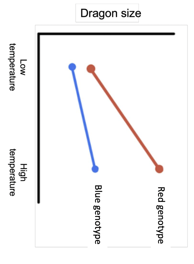 Solved There are two dragon strains – the red strain | Chegg.com