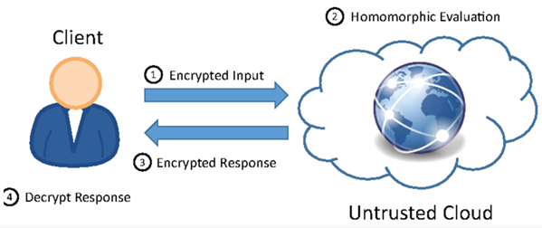 Solved In Cloud Computing You May Store Your Data In Cloud