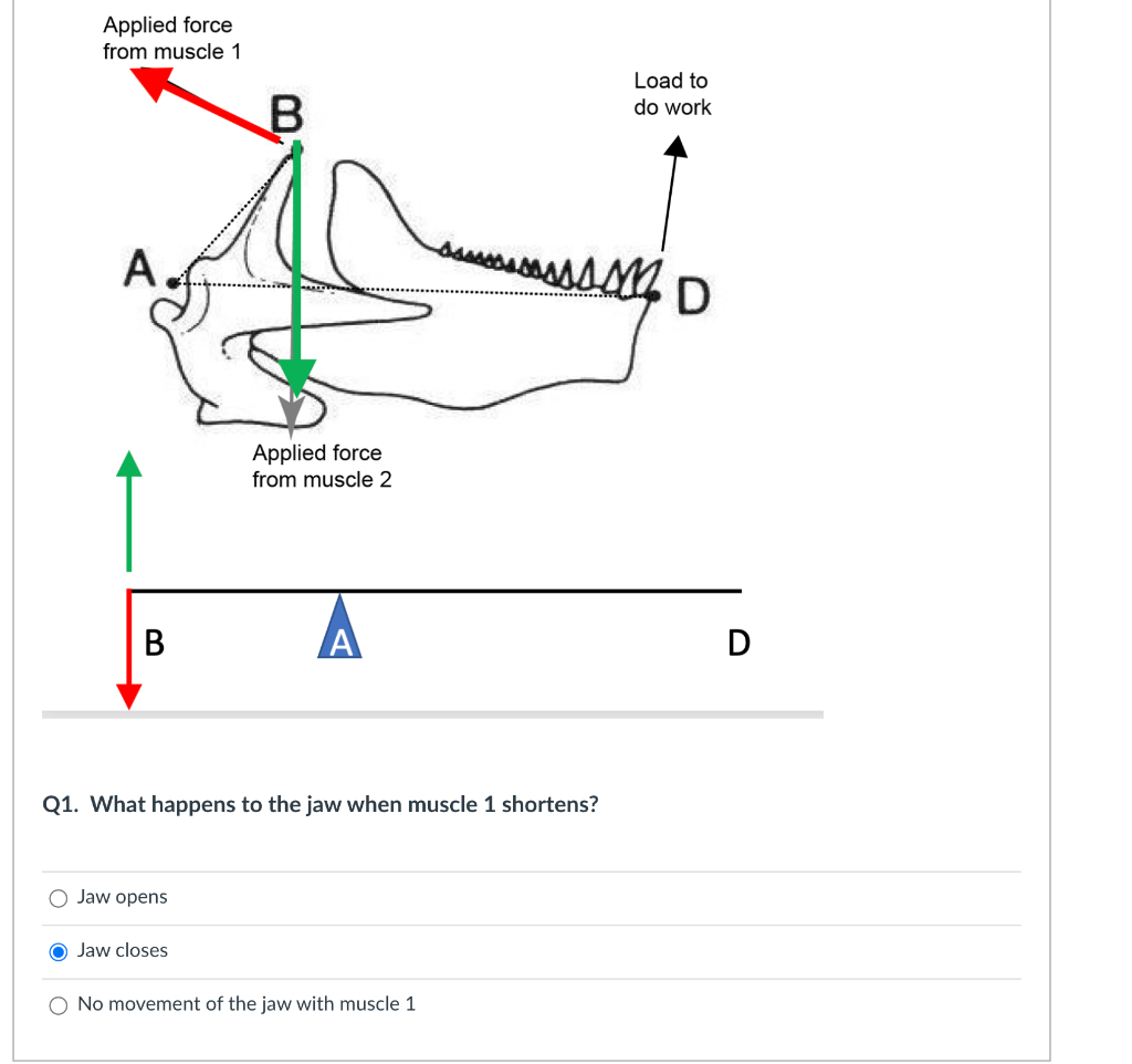 Solved Fish ecology In analyzing jaws from a bunch of | Chegg.com