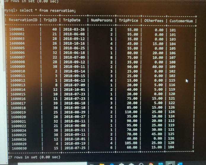 Styles Paragraph Chapter 3 Assignment Write the SQL | Chegg.com
