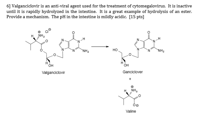 Solved 6] Valganciclovir is an anti-viral agent used for the | Chegg.com