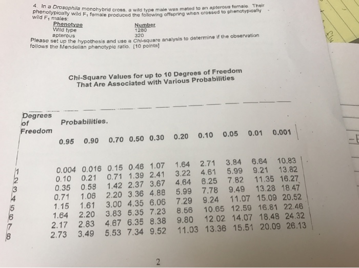 Solved In a Drosophila monchybrid cross, a wild type male | Chegg.com