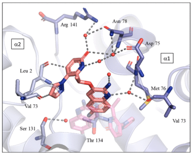 Solved The notion of treating sickle cell disease (SCD) by | Chegg.com