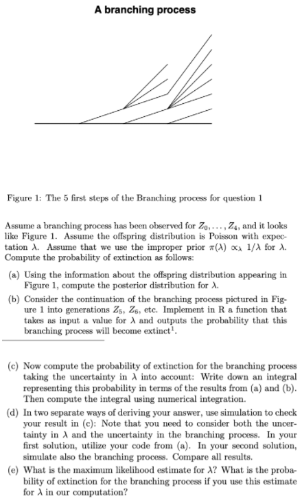 A branching process Figure 1: The 5 first steps of | Chegg.com