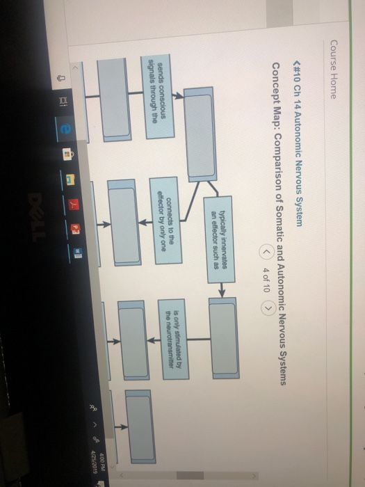 Solved Course Home #10 Ch 14 Autonomic Nervous System | Chegg.com
