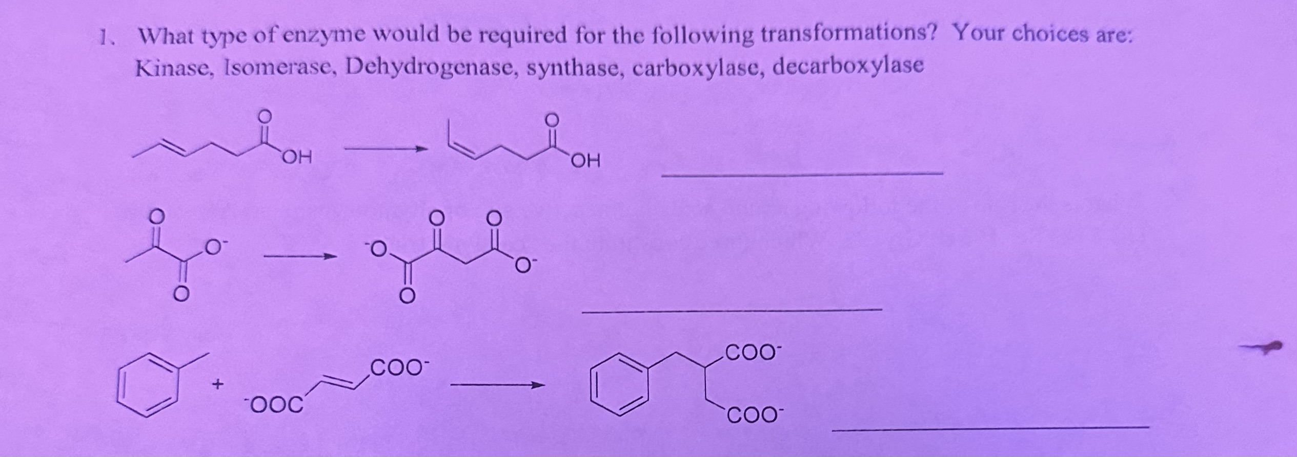Solved What type of enzyme would be required for the | Chegg.com