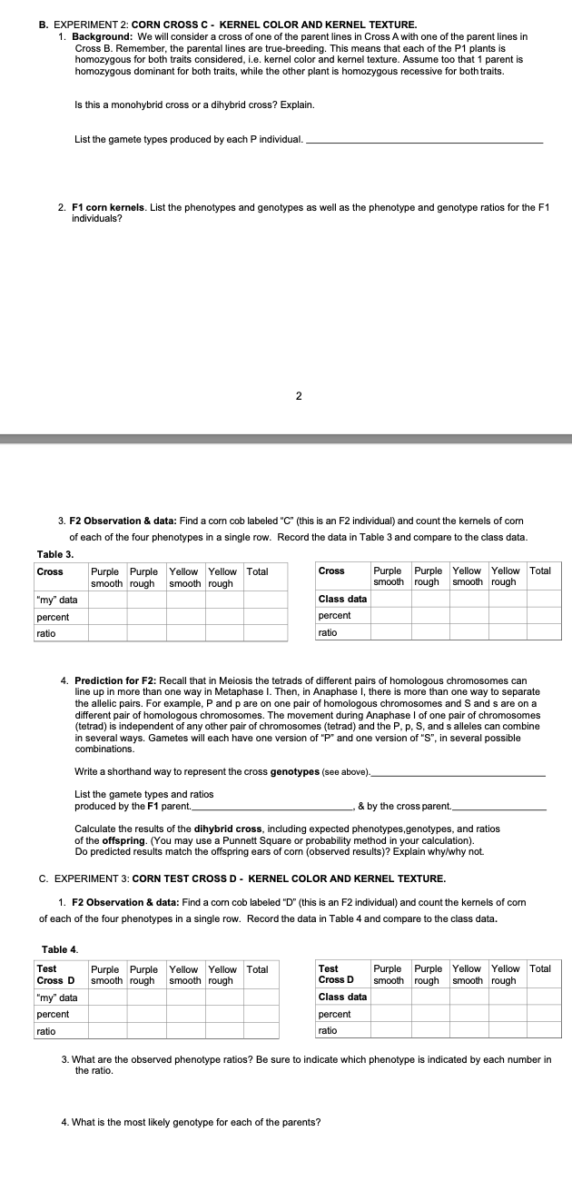 Solved Lab 10 ﻿please help with B(1-4) ﻿and C(1-4) | Chegg.com