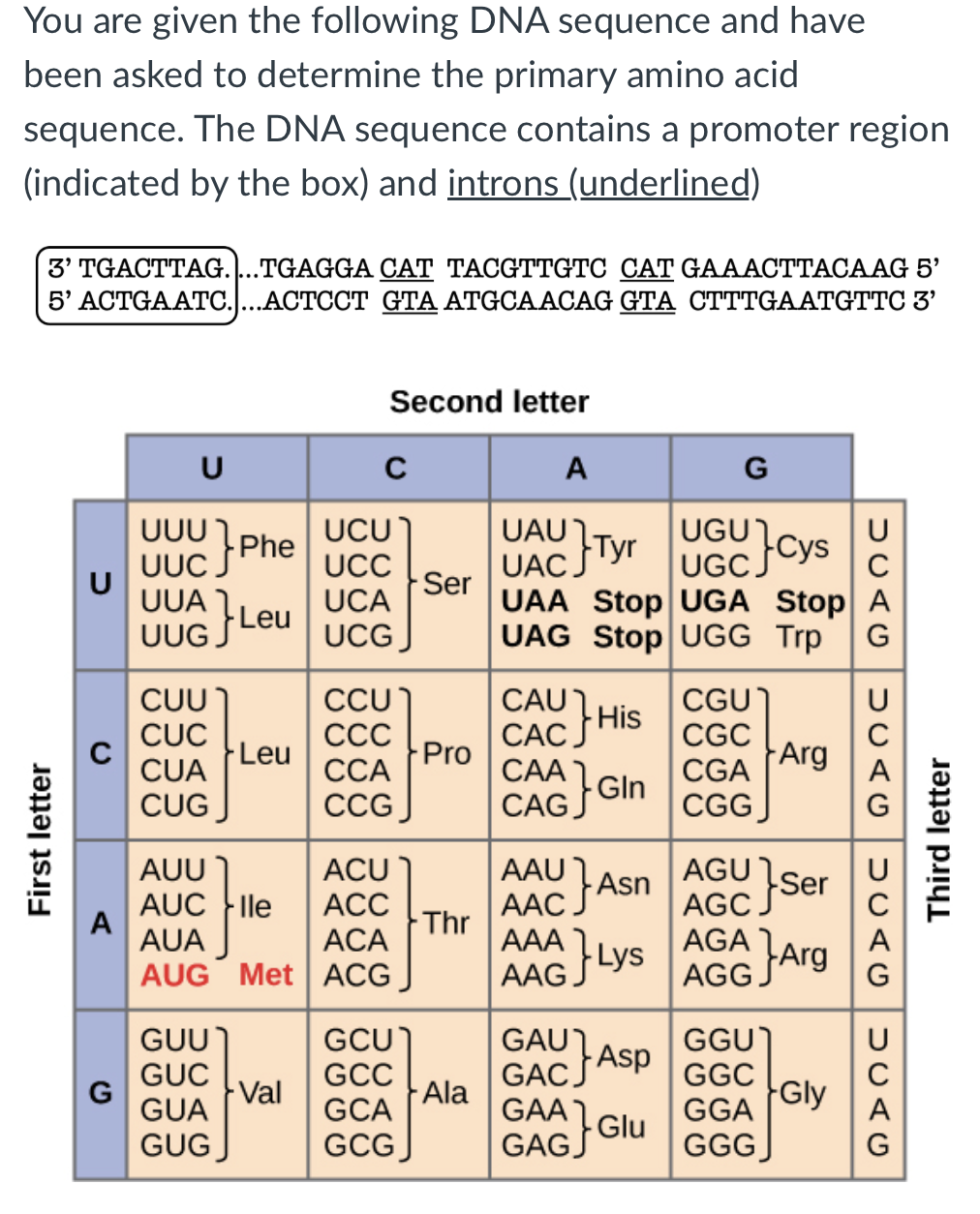 Solved You are given the following DNA sequence and have | Chegg.com