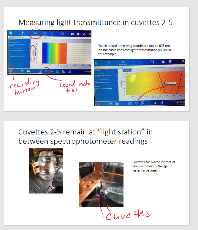 Solved 5. Write a hypothesis about the effect of | Chegg.com