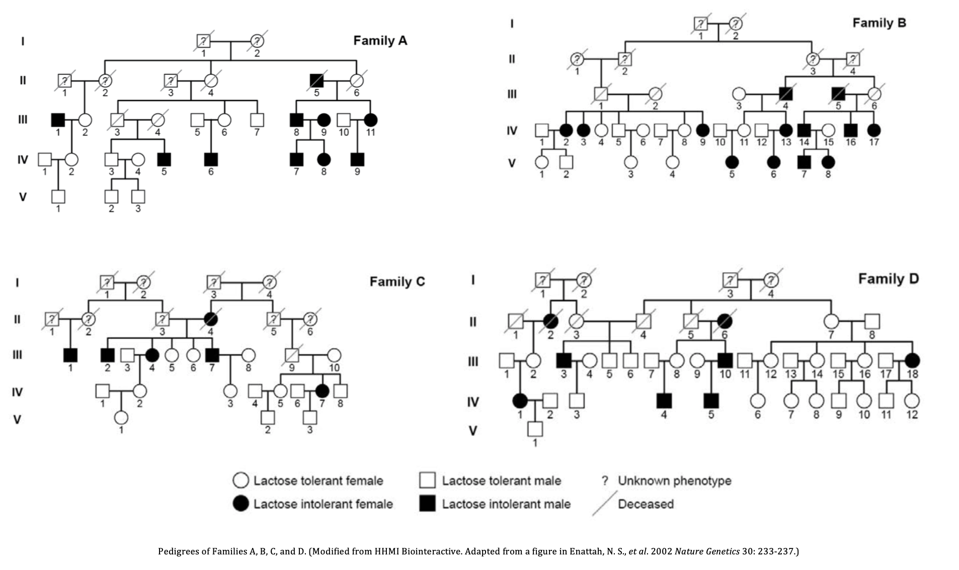 Solved If Individual 4, Generation IV, Family B were to mate | Chegg.com