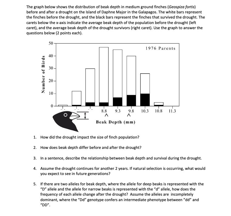 Solved The graph below shows the distribution of beak depth | Chegg.com
