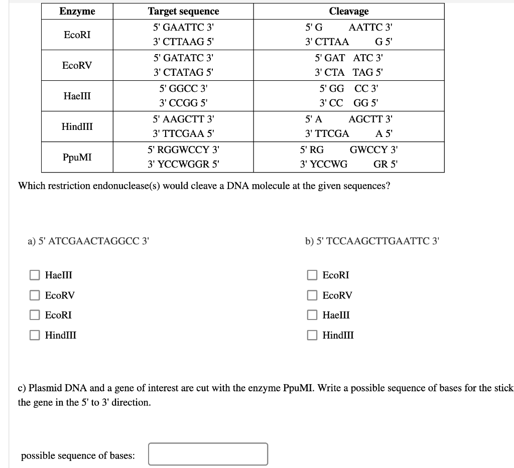 Solved Enzyme EcoRI EcoRV Target sequence 5' GAATTC 3' 3' | Chegg.com