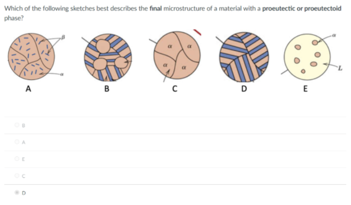 Solved Which of the following sketches best describes the | Chegg.com