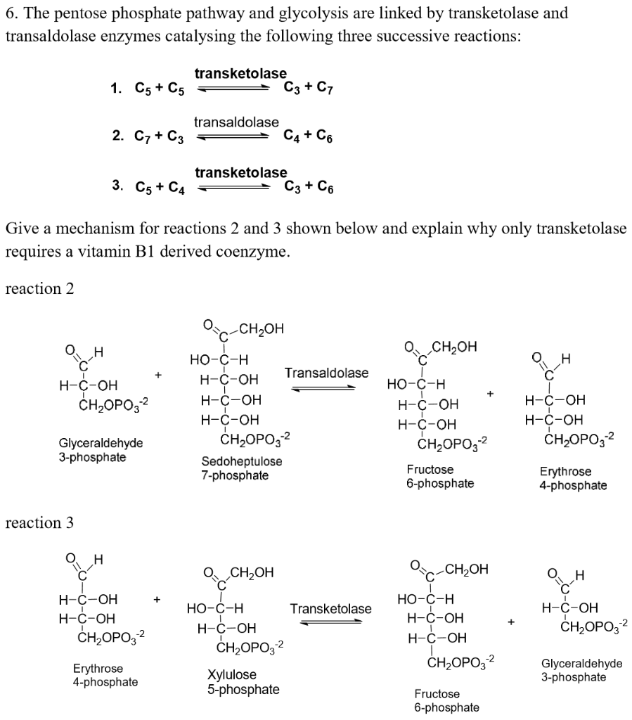Solved 6. The pentose phosphate pathway and glycolysis are | Chegg.com