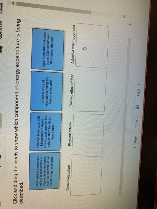 Solved Help Save & Exit Submit Click and drag the labels to | Chegg.com