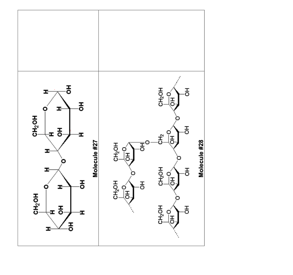 Solved BIOCHEMICAL MOLECULES - STRUCTURE AND FUNCTION ENTER | Chegg.com