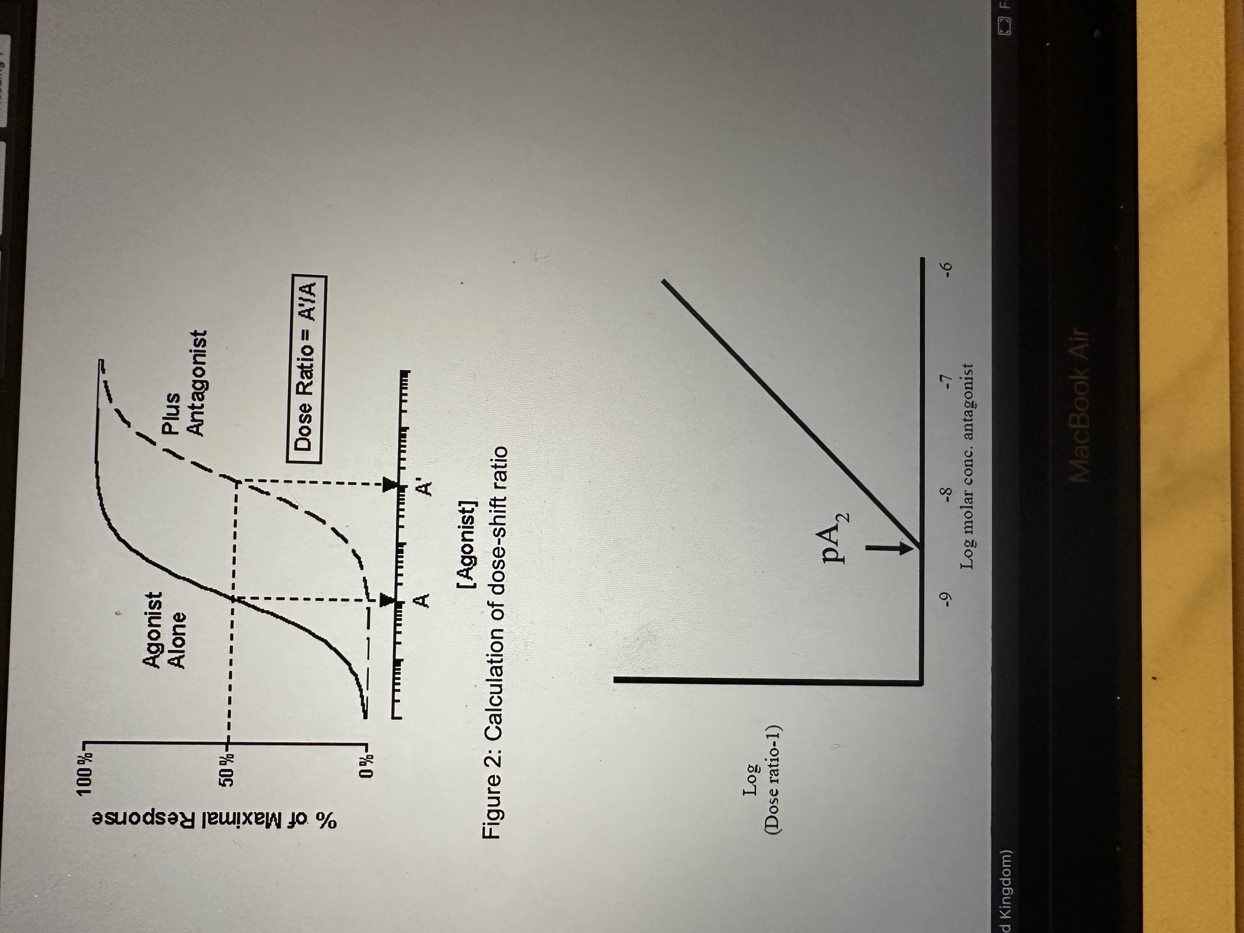 Solved Data Analysis 1 On The Same Graph Paper Plot The 