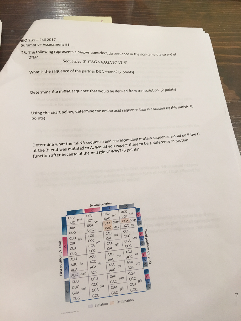 Solved BIO 231-Fall 2016 Summative Assessment #1 25. The | Chegg.com