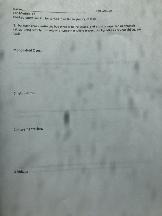 Solved Name, Lab Module 12 Pre-Lab questions (to be turned | Chegg.com