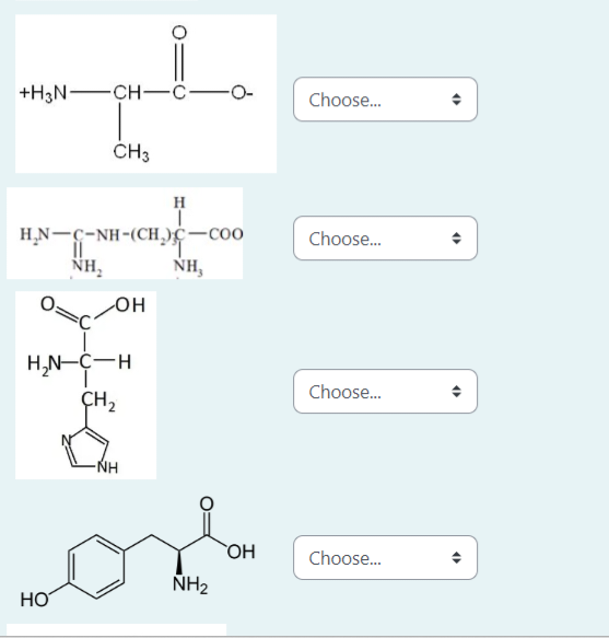 Solved Match the images of the following amino acids to | Chegg.com