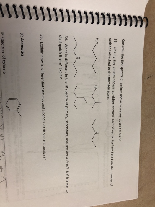 Solved IR Spectrum of butylamine | Chegg.com