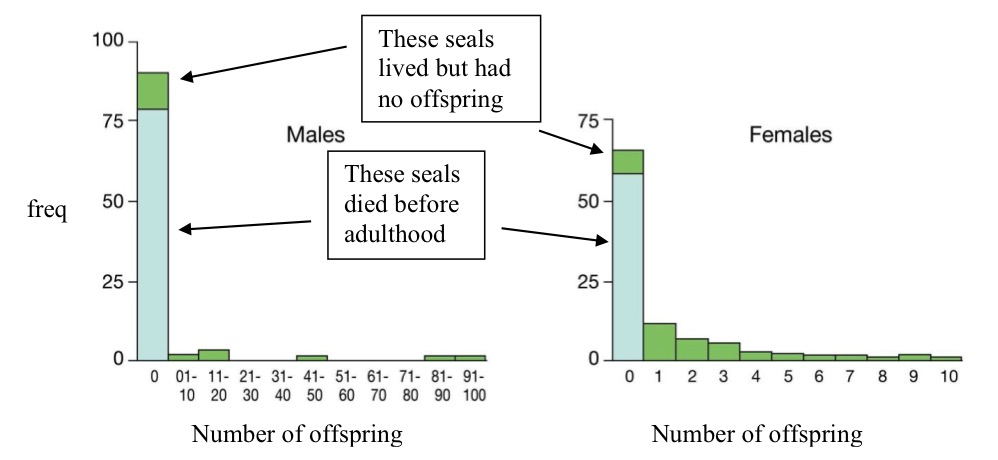 Solved These graphs show variation in lifetime reproductive | Chegg.com
