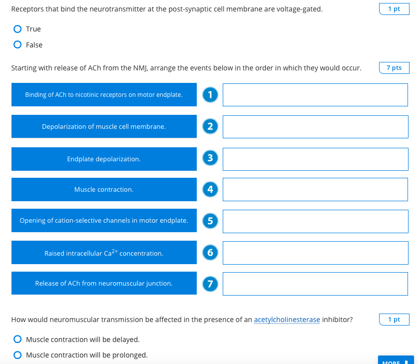 Solved Receptors that bind the neurotransmitter at the | Chegg.com