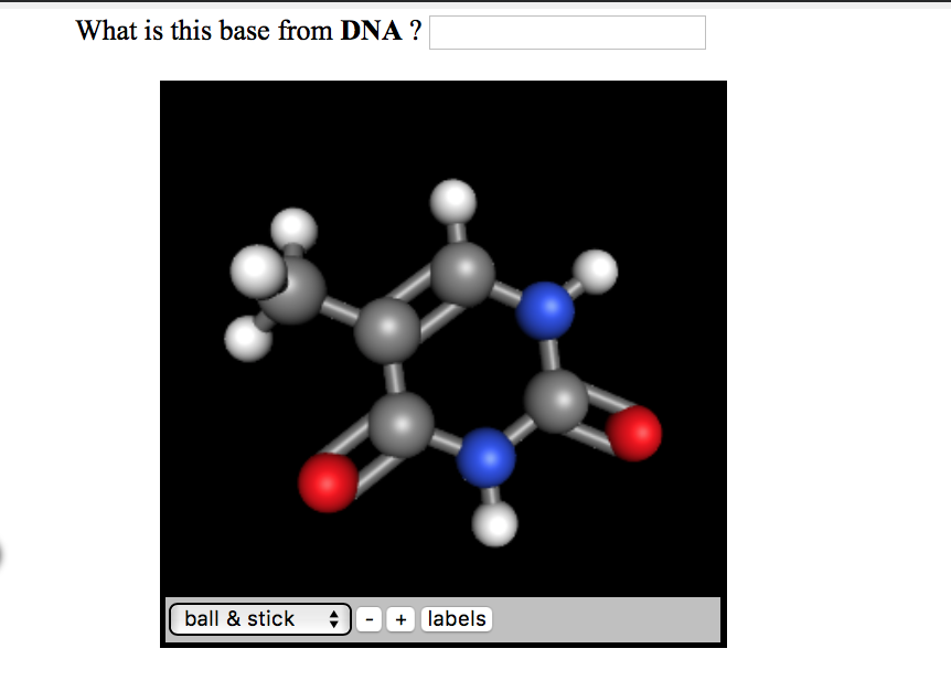Solved What is this base from DNA ? ( ball & stick - + | Chegg.com