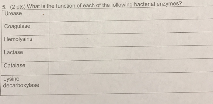Solved 5, (2 pts) What is the function of each of the | Chegg.com