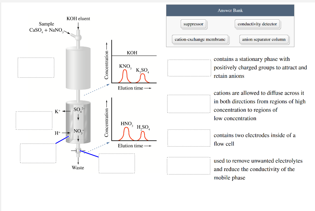 Solved Answer Bank KOH eluent suppressor conductivity | Chegg.com