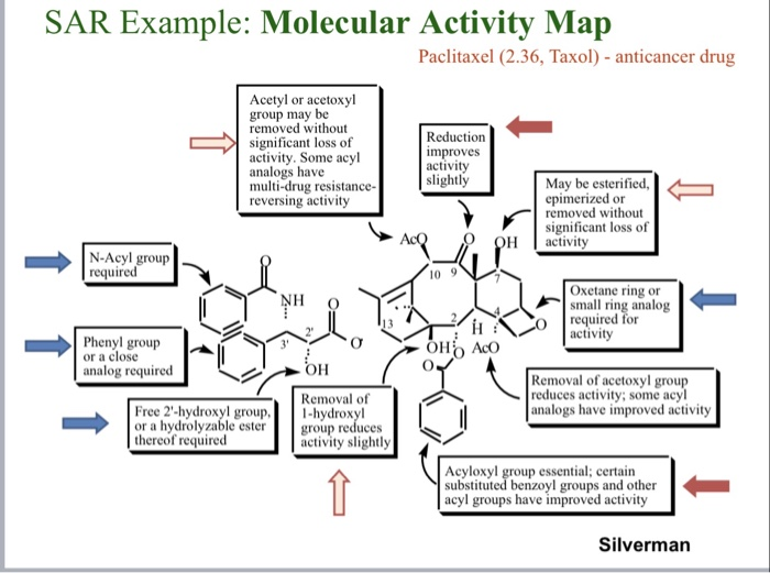 Create a molecular activity map summarizing statins. | Chegg.com