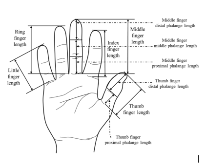 John Devine (R053540)Preparation:1. Measurement | Chegg.com