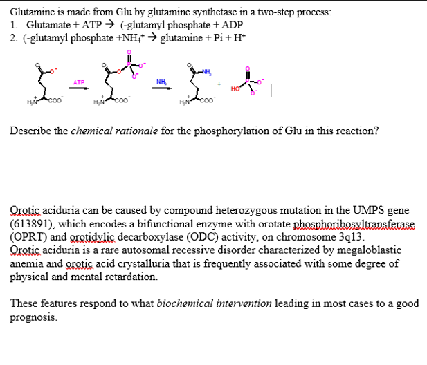 Glutamine is made from Glu by glutamine synthetase in | Chegg.com
