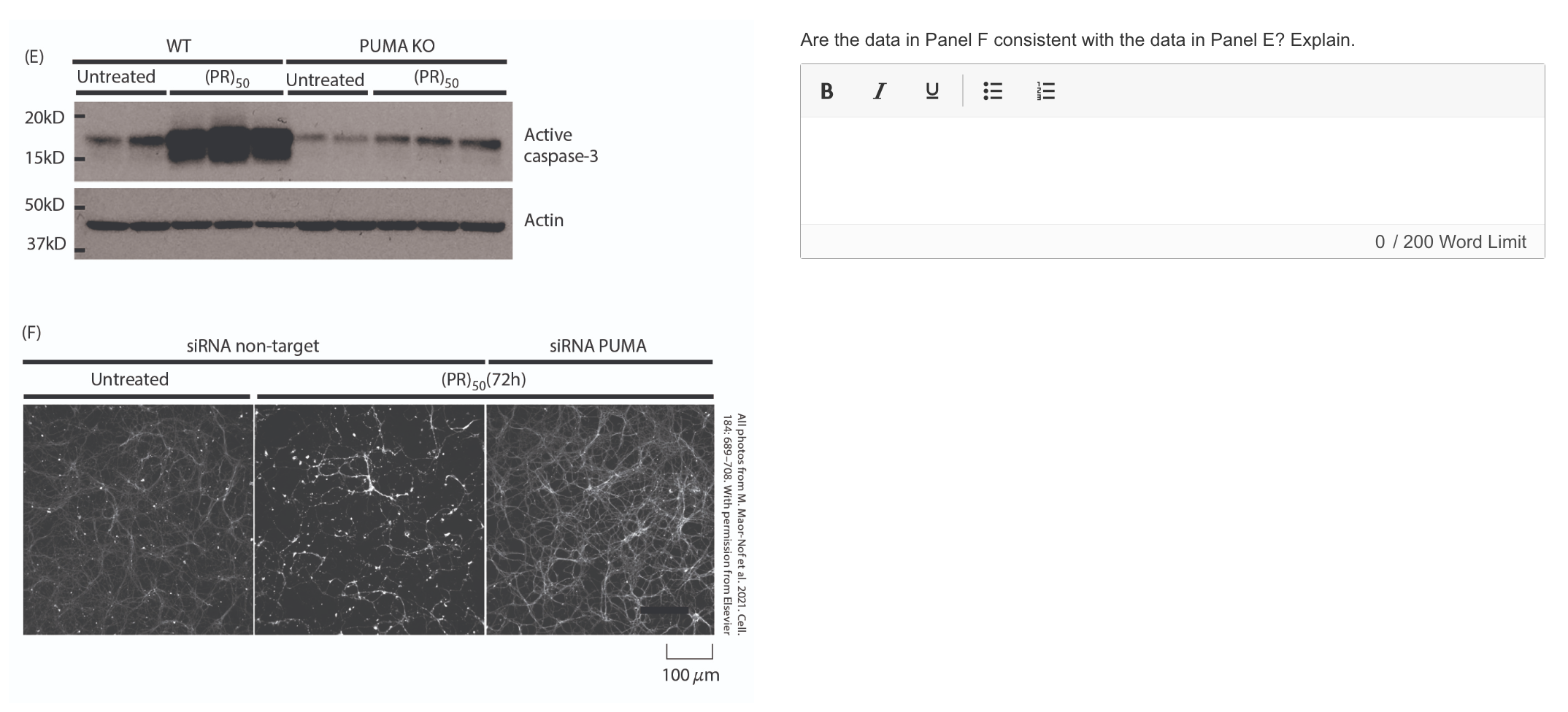 Are the data in Panel F ﻿consistent with the data in | Chegg.com