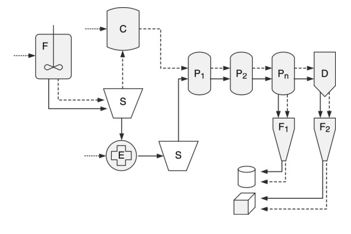 Solved The process of enzyme production will depend on the | Chegg.com